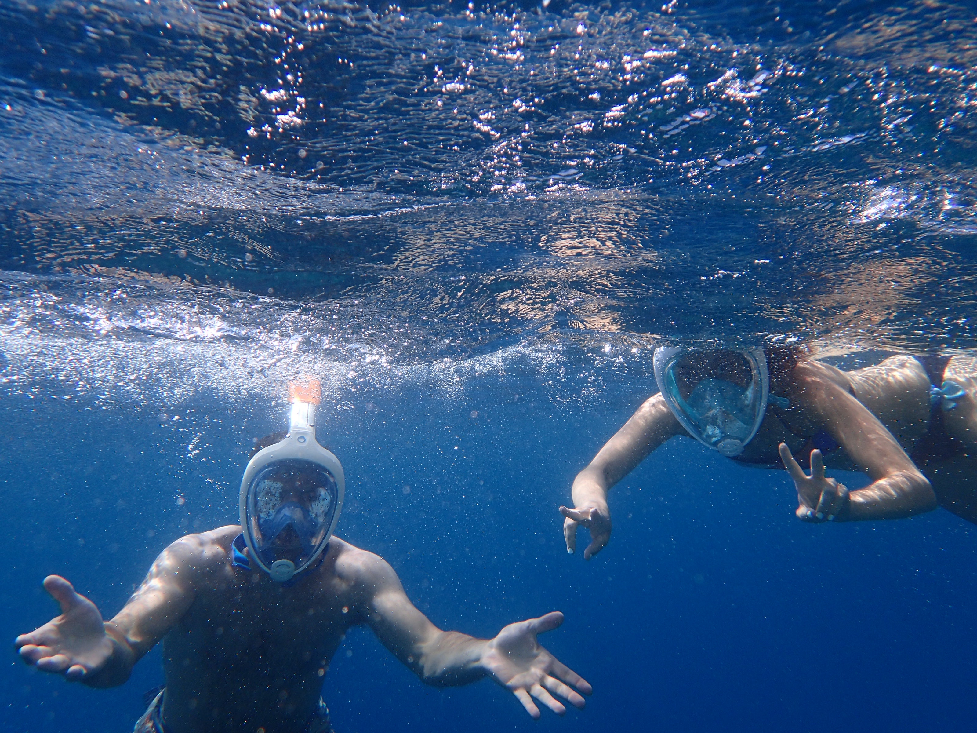 Destin Snorkeling: A Complete Guide | Destin Florida